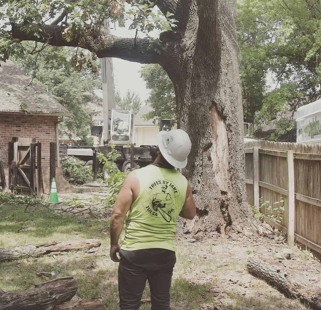 TREES BY JAKE - Site Works & Landscaping company in Tulsa